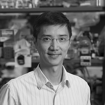 Mark Wu - The Solomon H Snyder Department of Neuroscience